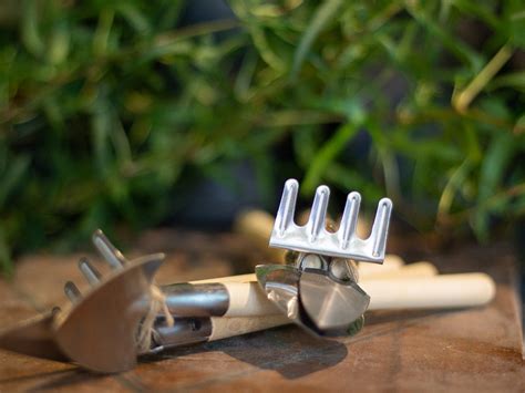 Kit De Mini Herramientas Para Suculentas Y Bonsai