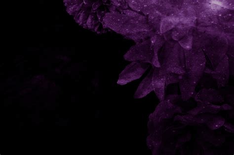 검은 배경과 파란색 그래픽 꽃 프레임과 분홍색 잎 질감 보라색 배경 화려한 그래픽 배너 행복 발렌타인 데이에 아름다운 추상 적 색 파란색 핑크와 보라색 꽃 그래픽 그래픽 꽃