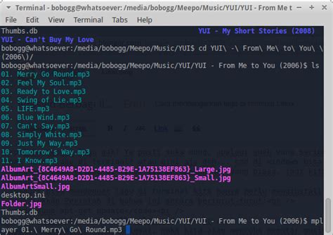 Alrasyid Berbagi Ilmu Cara Mendengarkan Lagu Di Terminal Linux