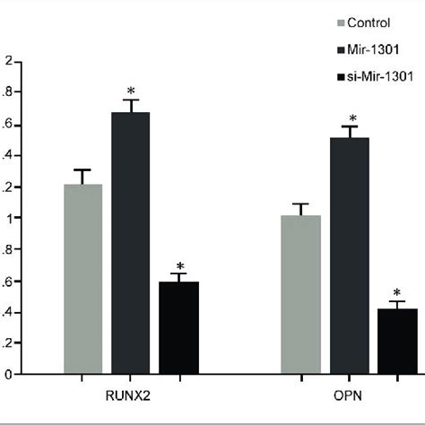 Effects Of MirR 1301 On The Expression Of Osteogenesis Genes RUNX2 And