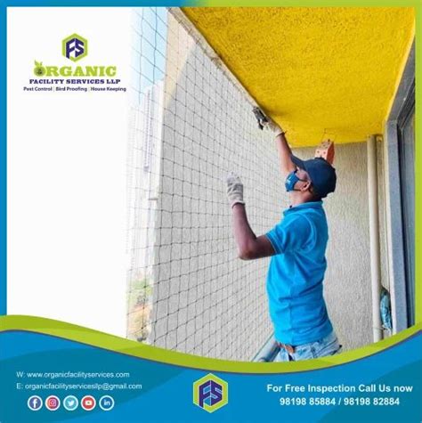 Bird Netting Service At ₹ 25square Feet In Mumbai Id 23040736112