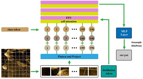 Side Scan Sonar Image Matching Method Based On Topology Representation