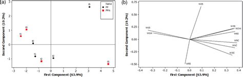 A Score Plot Left And Pca Loading Plot Right Of Electronic Nose