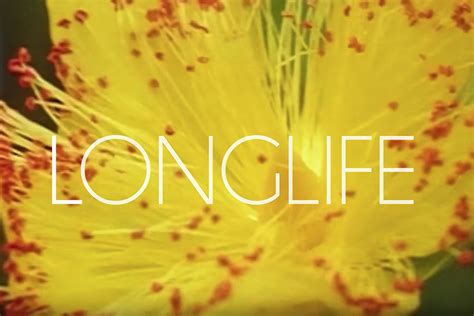 Multimedia, LongLife