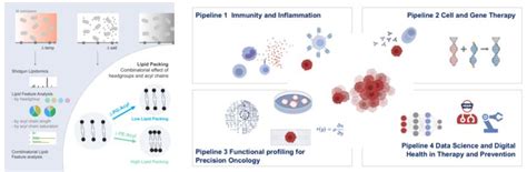 Ayse A Koksoy On Linkedin How To Graphical Abstracts 1 Tools And Resources