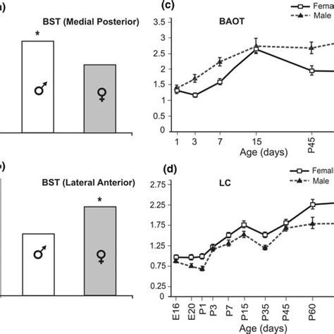 Main Morphological Characteristics Of Sex Differences In The Brain And