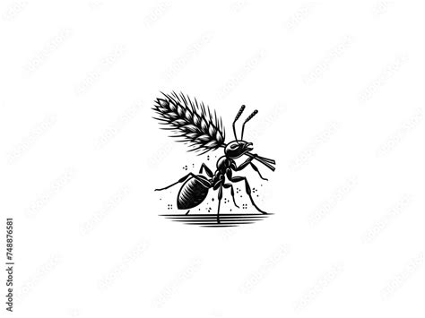 Tiny Wonders Ant Vector Illustration Detailed Vector File Stock Vector Adobe Stock