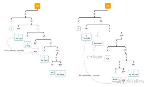 基于 X Bar 理论的英语句法分析 Syntactic Analysis 知乎