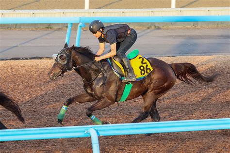 【福島テレビオープン】エターナルタイム良血馬が開花 日刊ゲンダイ競馬
