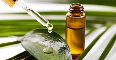Best Home Remedies And Treatment For Fungal Infection