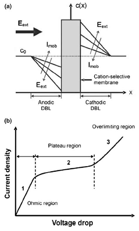 A Electrical Field Induced Concentration Polarization Cp With Respect Download Scientific