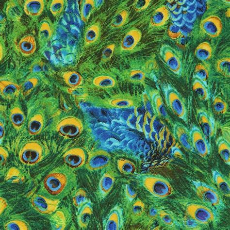 Peacock Pattern Fabric