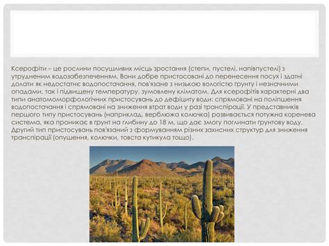 Презентація на тему Вплив генотипу і факторів зовнішнього середовища на рослинні організми