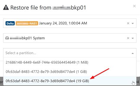 problem with file level restore from delta backup from lvm parition