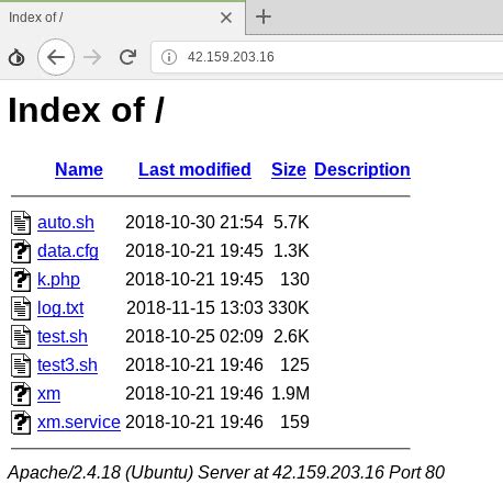 Docker Host REST API Vulnerability CalCom