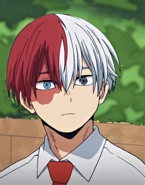 Pin En Todoroki Shoto My Xxx Hot Girl