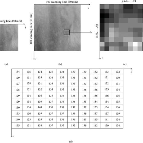 An Example Of Original Discrete Function Fi J Of Digital Image