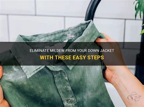 Eliminate Mildew From Your Down Jacket With These Easy Steps Shunvogue