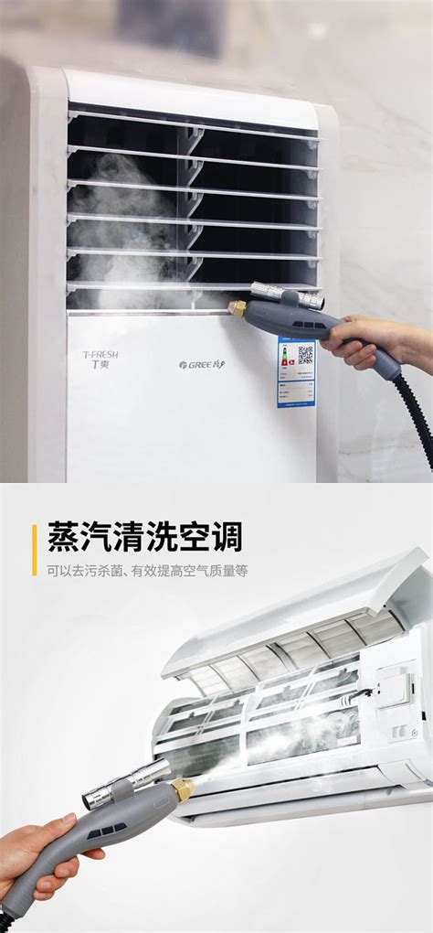 高压高温蒸汽清洁机消毒家用油烟机多功能清洗一体机器空调清洗机 tmall com天猫