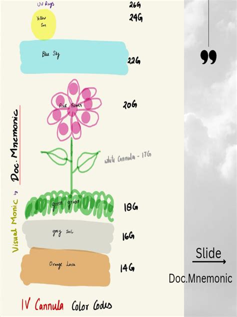 Iv Cannula Colour Code Pdf
