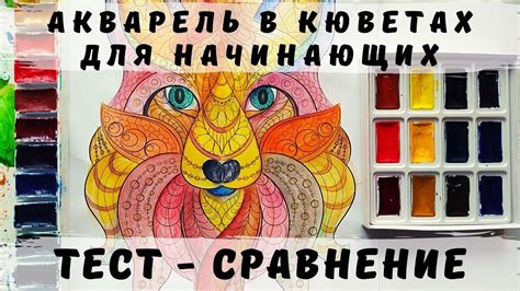 ТЕСТ-СРАВНЕНИЕ | Акварель в кюветах: Петербургская классика против ...