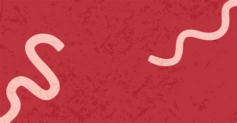 PrithivMLmods Calcium Opus B Elite M Featherless Ai