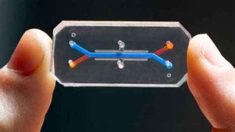 Ilmuwan Buat Chip Vagina Untuk Kesehatan Wanita