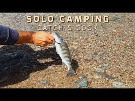 Solo Camping Fishing Catch Cook Camping Asmr Youtube