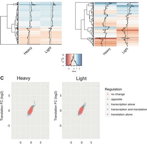 Genome Wide Translatome Assays A Schematic Of Polysome Profiling And