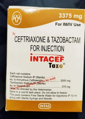 Ceftriaxone Tazobactam Injection At ₹ 280 Vial Ceftriaxone Tazobactam Injection In Bengaluru