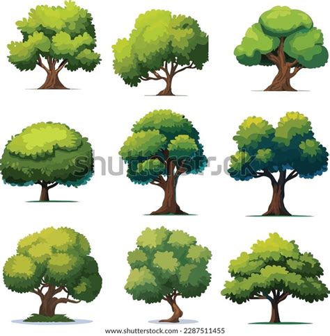 Collection Different Variant Tree Vector Illustrations Stock Vector