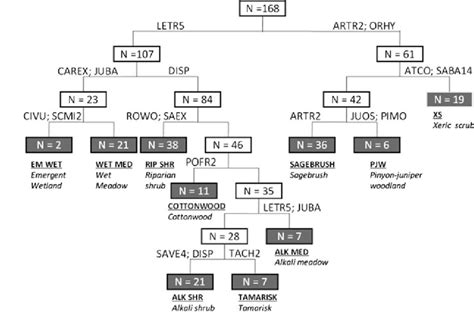 Dendrogram Of Plant Communities Based On Twinspan Results The 10