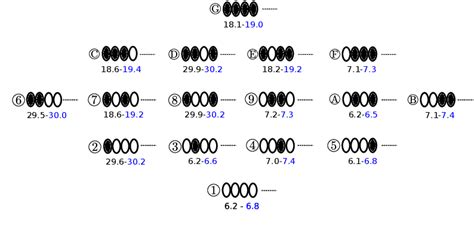 Figure 1 From Learning Gradual Typing Performance Semantic Scholar