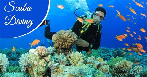 8 Activities That You Can Indulge In If You Are In Lakshadweep Islands