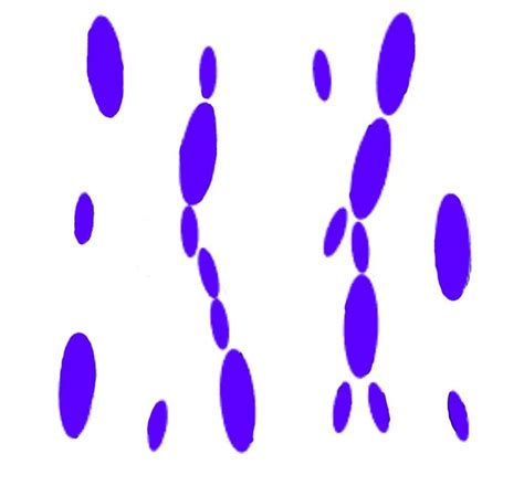 4 Schematic Structure Of Particle System Download Scientific Diagram