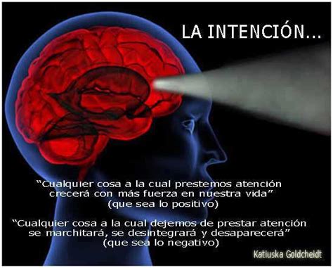 Marcos Laura Briceño ¿qué Sucede En Nuestro Cerebro Cuando Leemos
