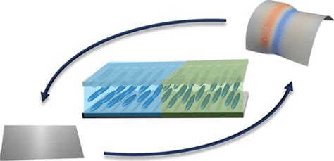 Discontinuous Metric Programming In Liquid Crystalline Elastomers Acs Applied Materials