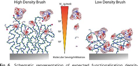 Figure 6 From A Guide To Functionalisation And Bioconjugation Strategies To Surface Initiated