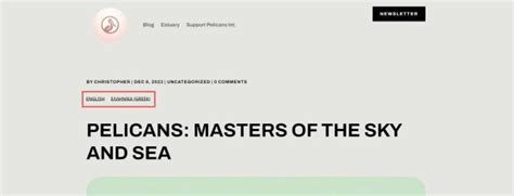 Wpml Review Key Features Usage And Alternatives 2025