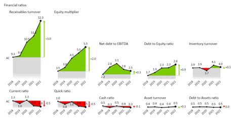How To Calculate And Interpret Financial Ratios In Excel Zebra Bi