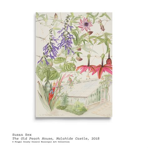 Fingal Arts What Do You See Lets Explore The Artwork Of Susan Sex