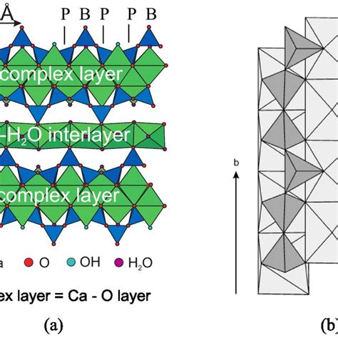 1 C Shows The Microstructure Of Alite 0 5 M Koh Hydrated For 90 Download Scientific Diagram
