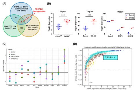 The Roles Of Loss Of Cxcr2 Expressionactivity In Melanoma