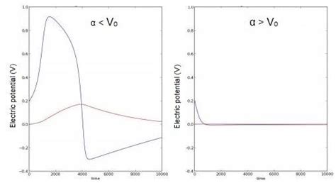 4 Effect Of Excitation Threshold On Action Potential 15 Download