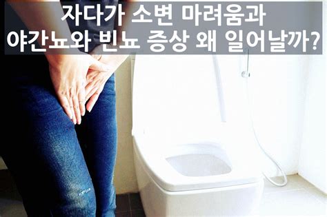 자다가 소변 마려움과 야간뇨와 빈뇨 증상 왜 일어날까 생활속 꿀팁