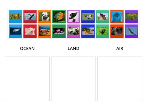 Science Process Skill Classifying Group Sort