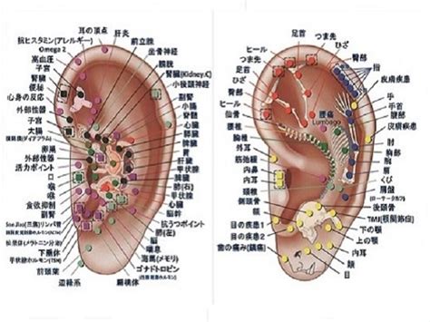 【江坂】神経耳介療法で耳鳴り・めまい・不眠を改善｜整体院いそはしのニューロオリキュロセラピー｜【江坂駅4分】江坂の整体なら整体院いそはし｜首