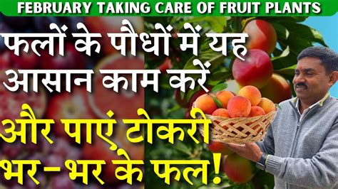 बस फरवर म करल य कम टकर भर भर क लगग आड खत खत थक