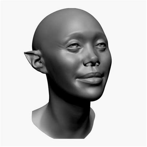 여성 머리 C 3d 모델 Turbosquid 2199480