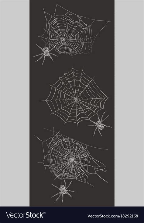 A Spider Weaves Web Royalty Free Vector Image Vectorstock
